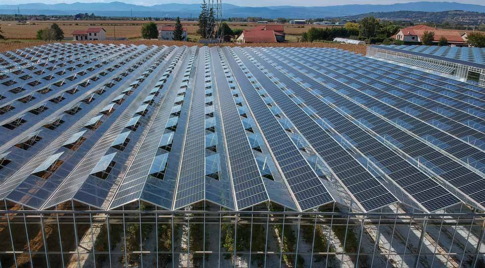 Quiénes somos - REDEN