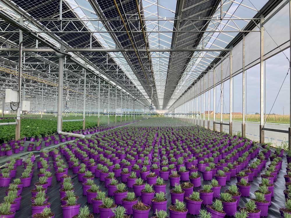 Qui sommes-nous - REDEN