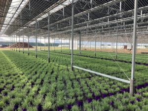 REDEN - Spécialiste de la production d’électricité photovoltaïque