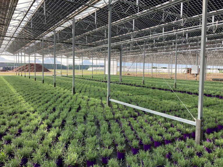 REDEN - Spécialiste de la production d’électricité photovoltaïque