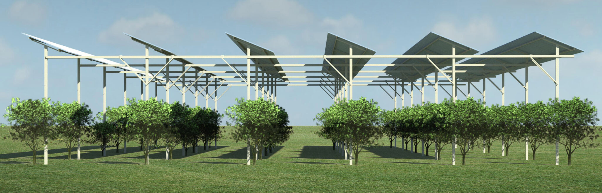 Agrivoltaic orchard shades - REDEN
